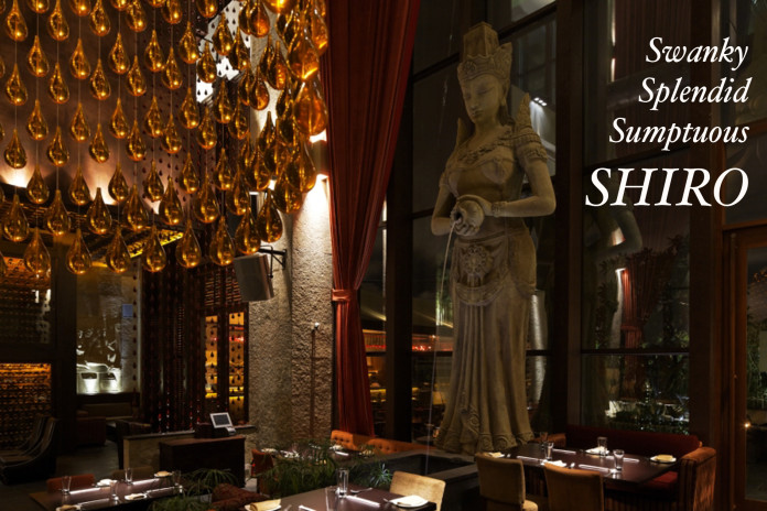 Pan Asian Sensation Shiro Restaurants