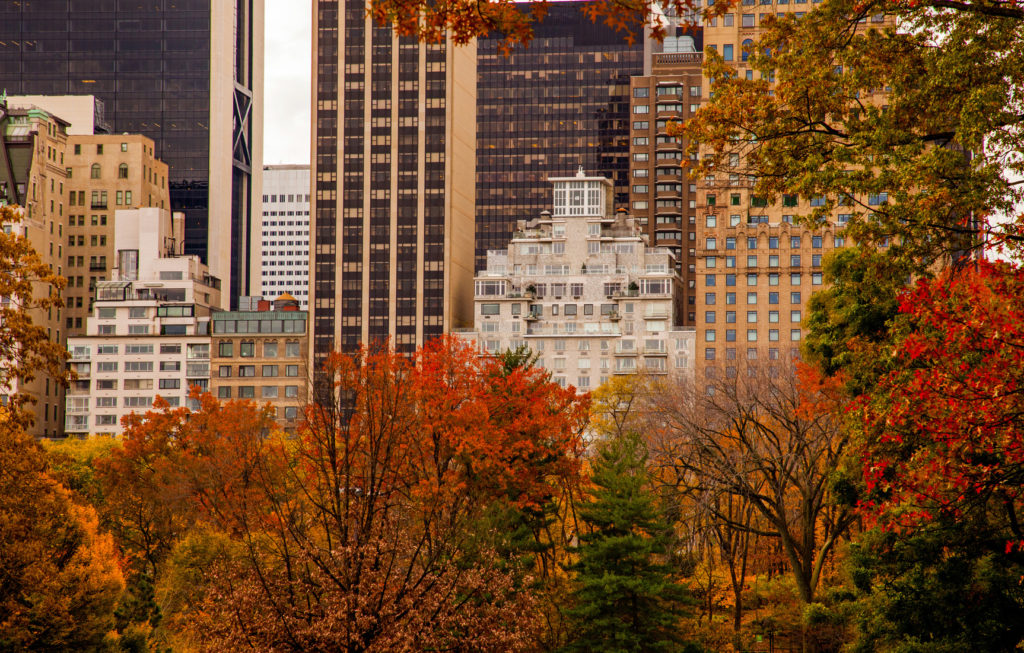 Your Secret Guide To New York This Month