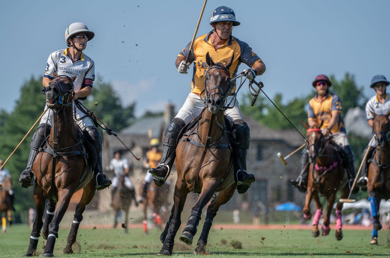 Greenwich Polo Club Returns For Another Summer Season Global Glam